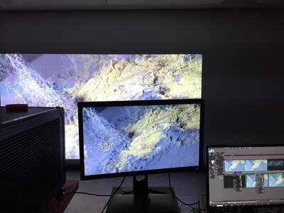 dandelion + burdock | 4k 10bit Line Test