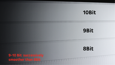 dandelion + burdock | 4k 10bit Line Test