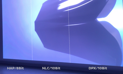 dandelion + burdock | 4k 10bit Line Test